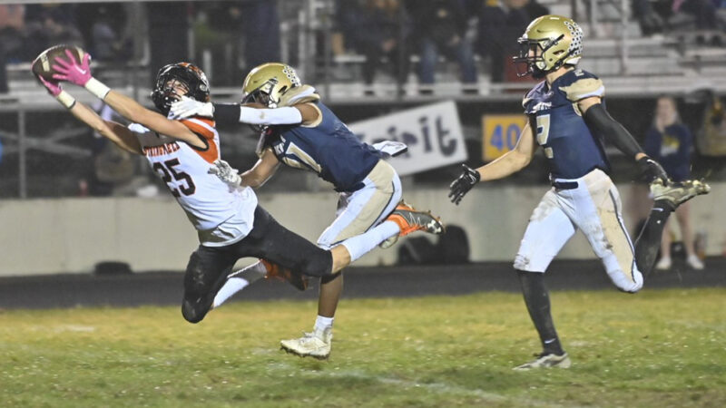 Lowellville knocks off Springfield | News, Sports, Jobs - Tribune Chronicle